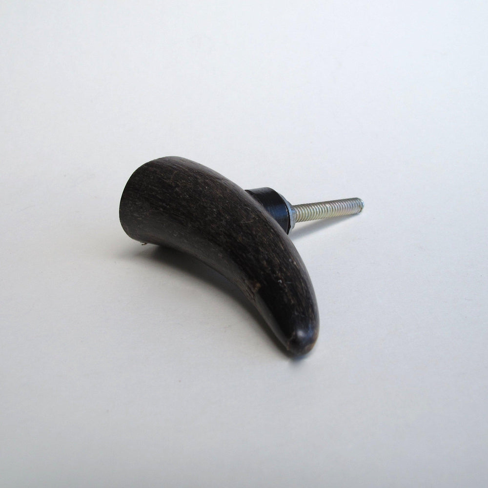 Natural Horn Knob - Hooks & Knobs