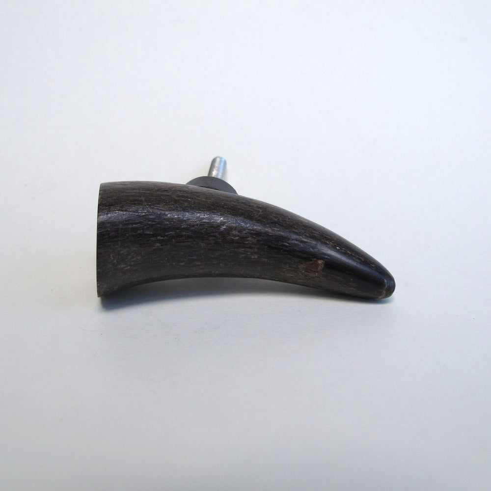 Natural Horn Knob - Hooks & Knobs
