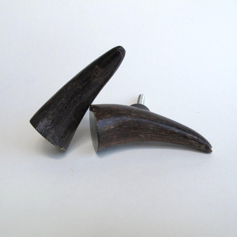 Natural Horn Knob - Hooks & Knobs