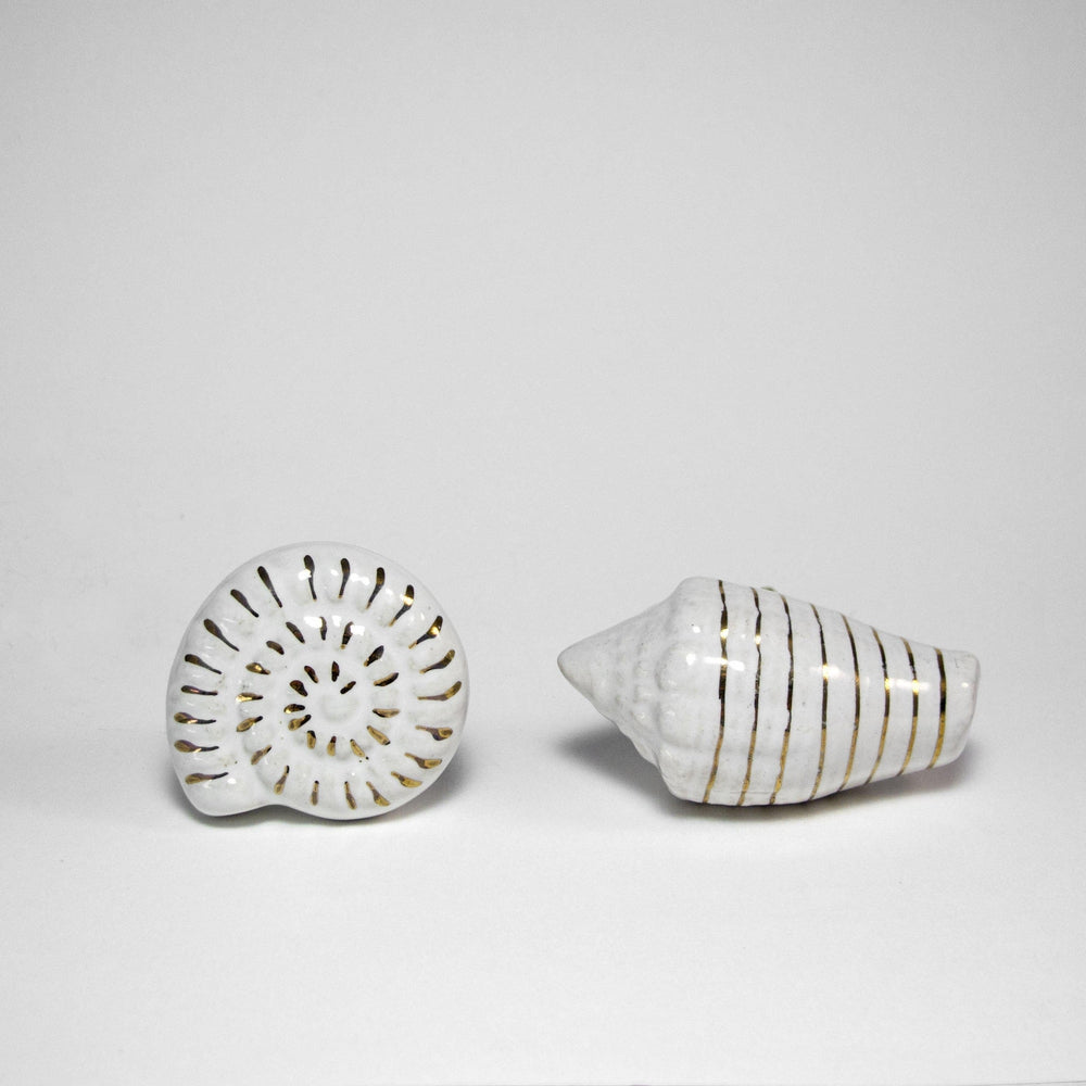 Coastal Seashell Drawer Pulls & Cabinet Knobs - Hooks & Knobs